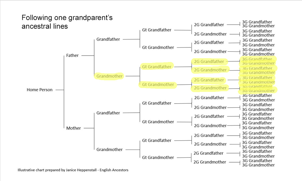 Family Tree ‘packages’ | English Ancestors