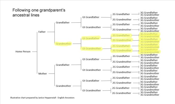 Family Tree ‘packages’ | English Ancestors