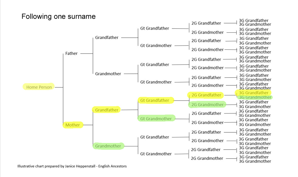 Family Tree ‘packages’ | English Ancestors
